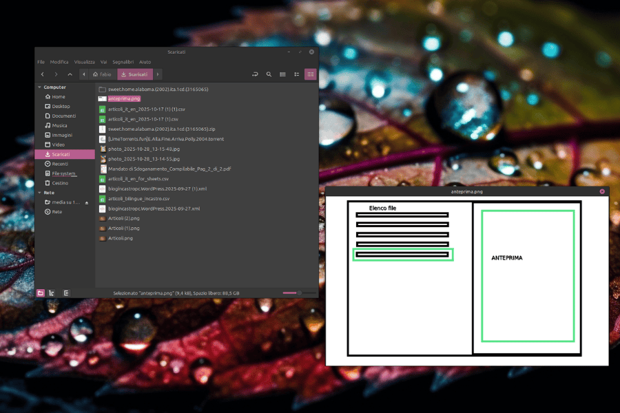 Anteprime file su Linux Mint Cinnamon - Blog Incastro PC